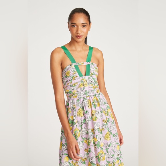 AMUR | Dresses | 498 Amur Leone Midi Dress Floral Green Pink Cotton ...